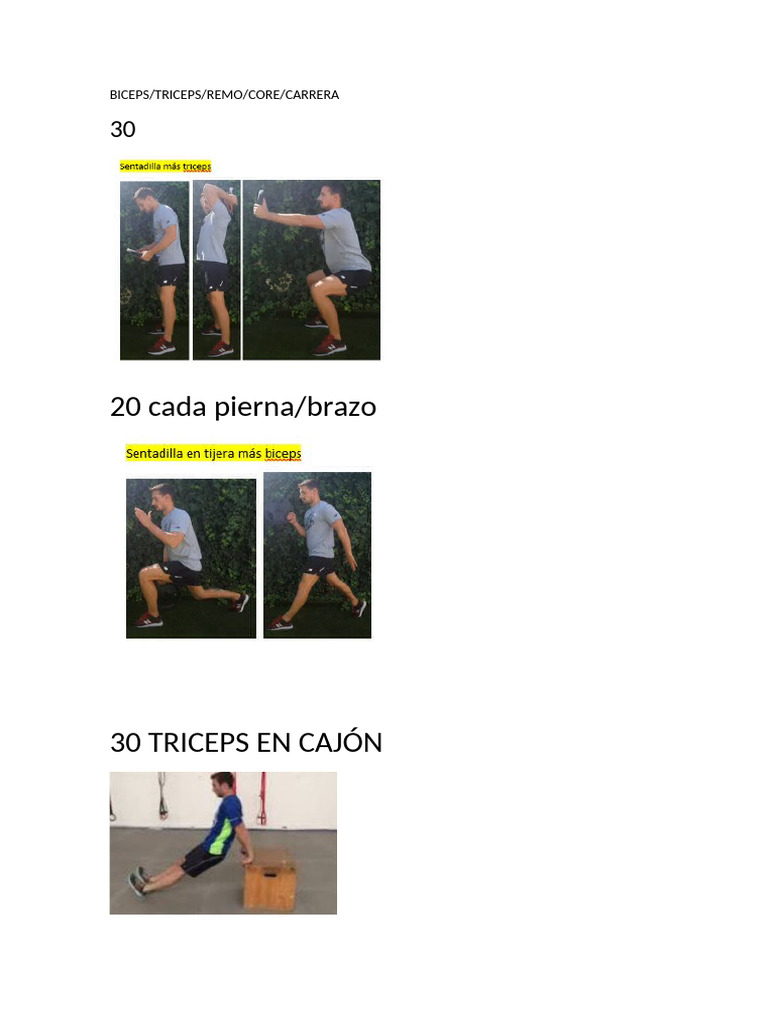 Biceps Triceps Core | PDF