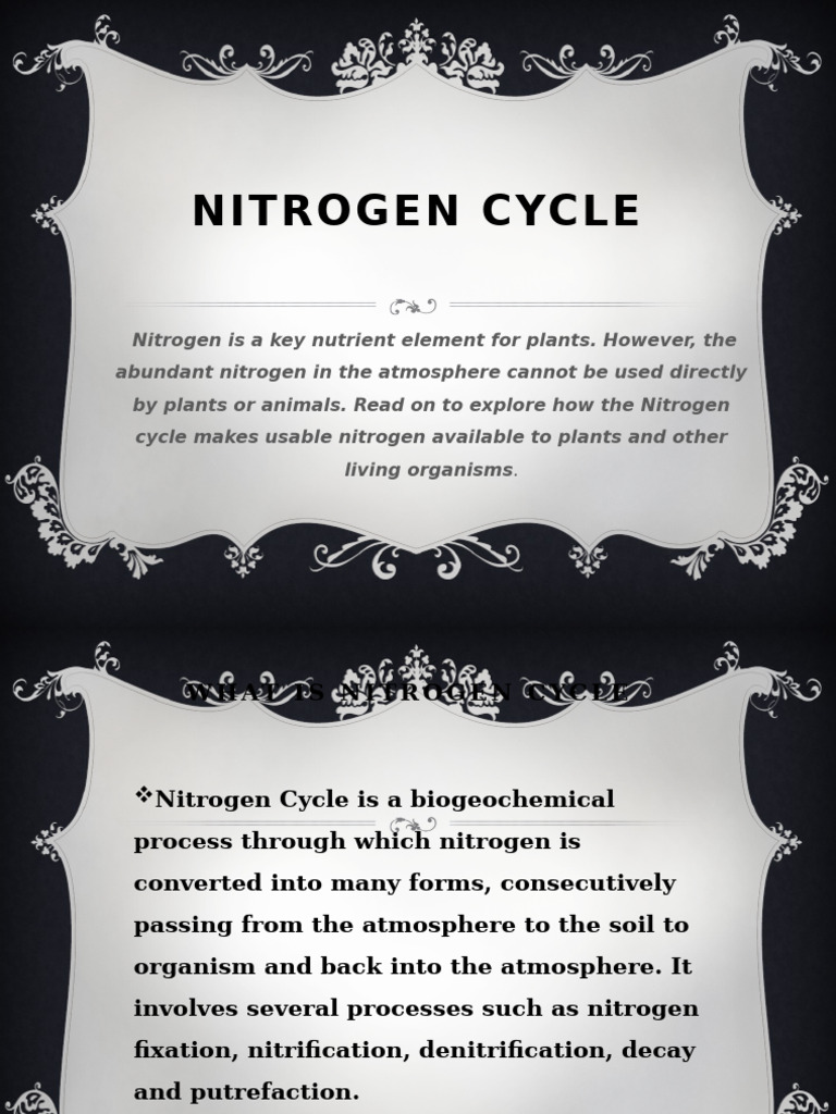 Understanding the Nitrogen Cycle | PDF | Nitrogen | Organisms