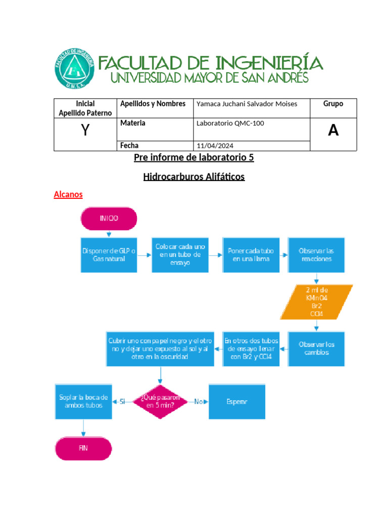 Preinforme 5 Lab. QMC-200 | PDF | Etileno | Química