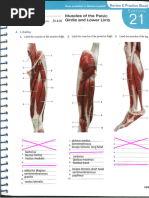 Squatober Study Guide | PDF