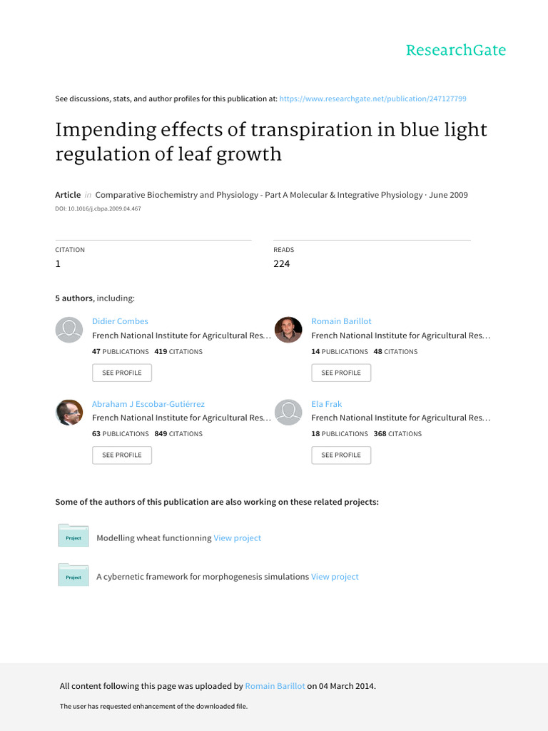 Impending Effects of Transpiration in BL | PDF | Leaf | Stoma