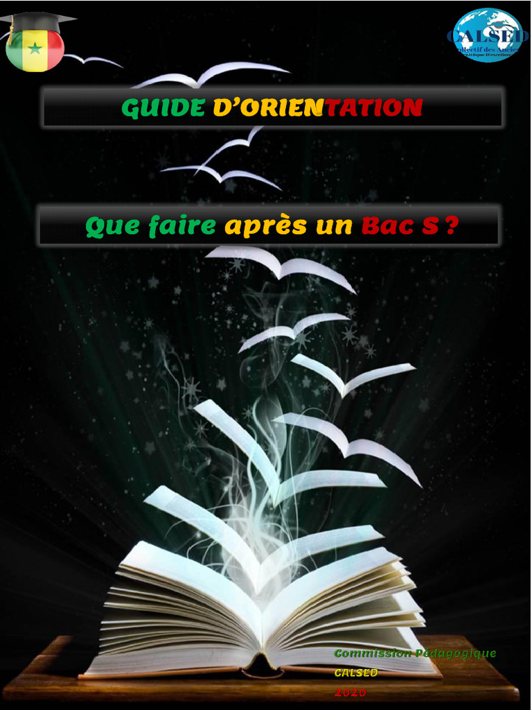 Guide d'Orientation Bac S: Ingénierie | PDF | Ingénieur | Pédagogie