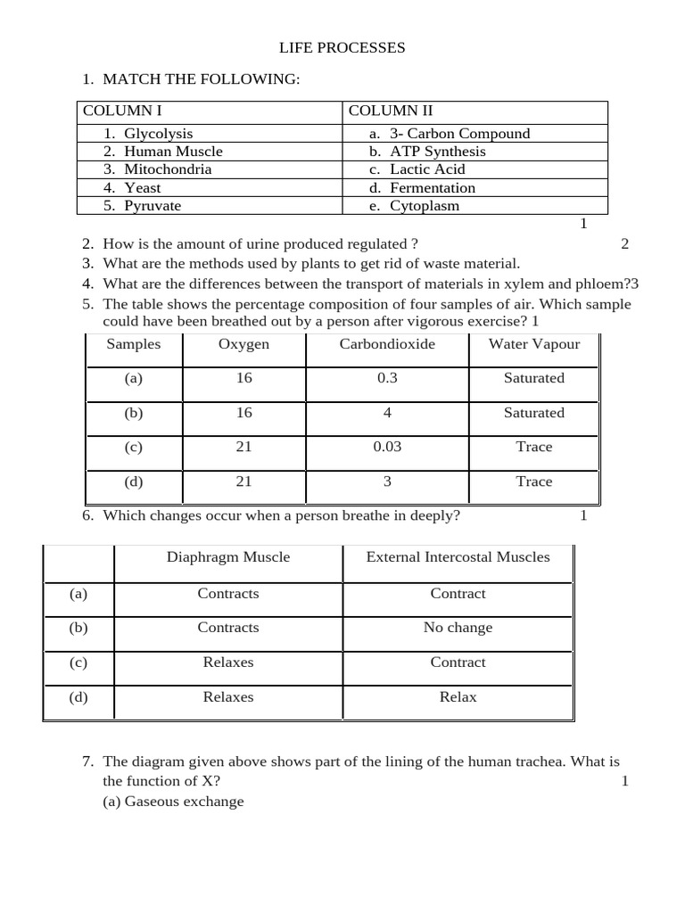 LIFE PROCESSE Assignment | PDF
