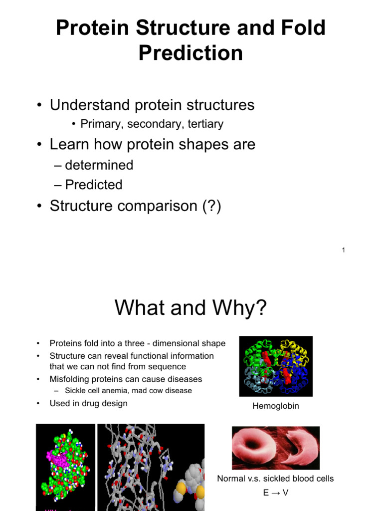 Protein Structure and Folding Insights | PDF | Amino Acid | Protein ...
