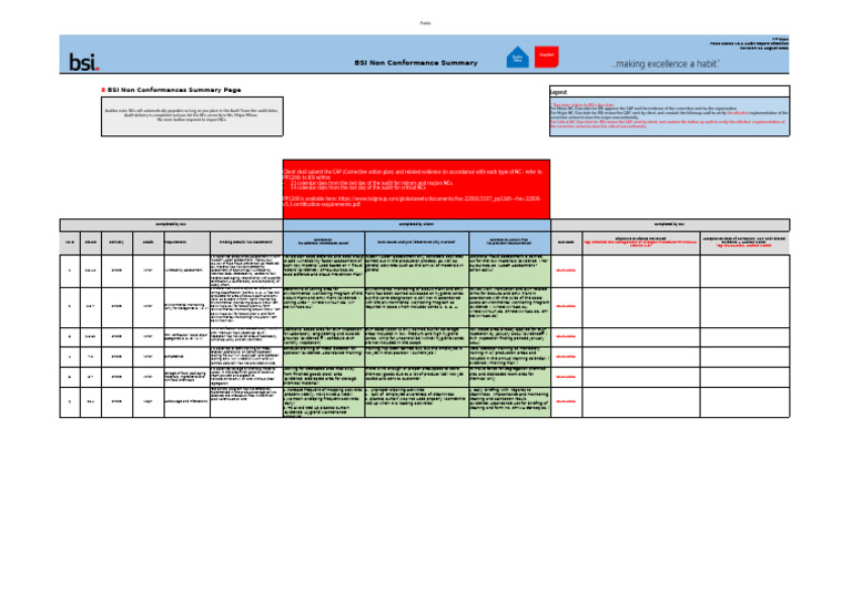 BSI Non-Conformance Summary Report | PDF | Audit