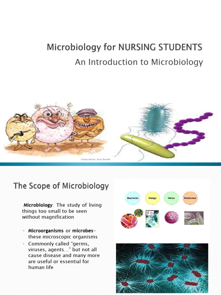 Microbiology and Parasitology Reviewer | PDF | Infection | Disinfectant