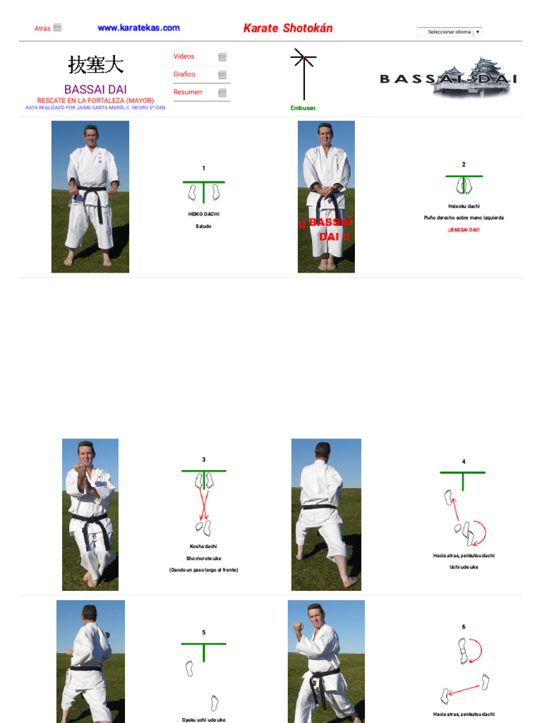 Bassai Dai: Kata Shotokan Detallado | PDF | Kárate | Artes marciales ...