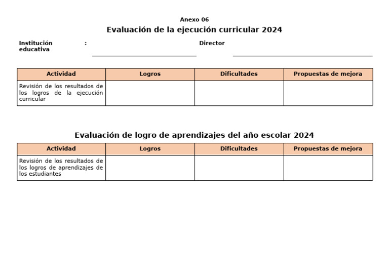 Anexo 06 Evl. Ejec. Curricular | PDF