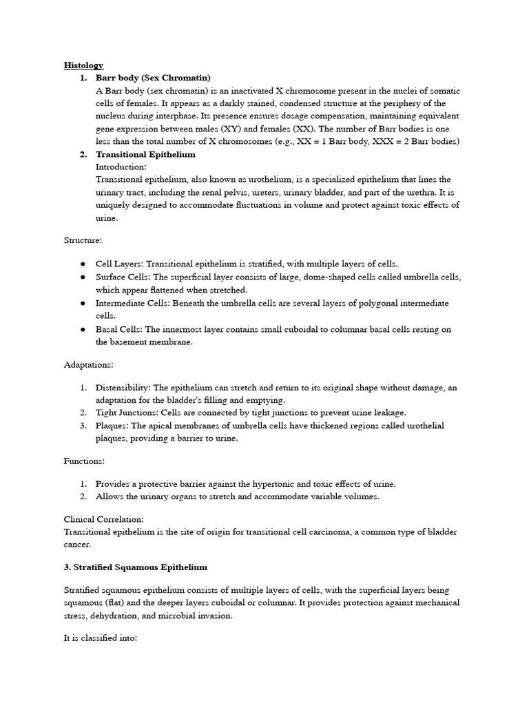 Anatomy Test 1 | PDF | Cartilage | Epithelium