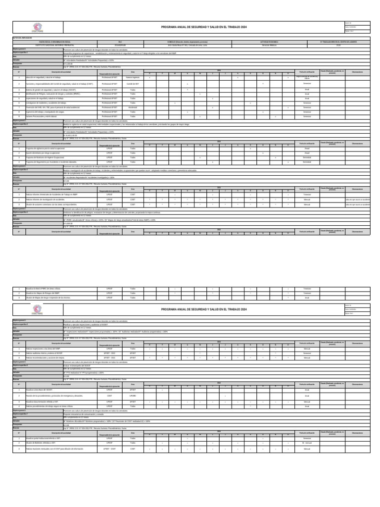 Programa Anual de SST 2024_ v02 | PDF | Seguridad y salud ocupacional | Presupuesto