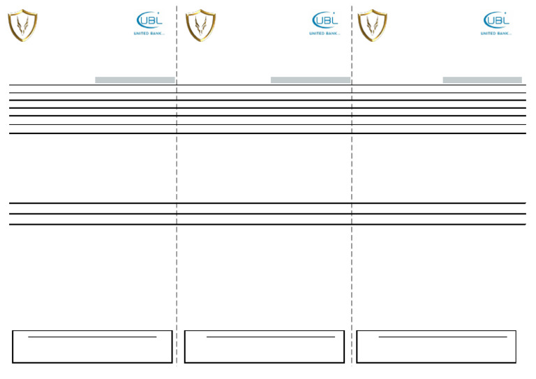 015101-Khizer Ateeq-Nov 2024 - Dec 2024 | PDF | Payments | Money