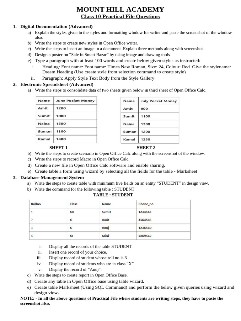 Class 10 Practical File | PDF