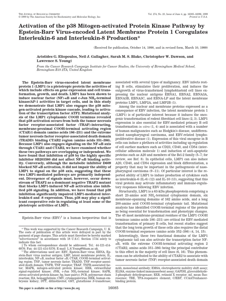 Activation of the p38 Mitogen-activated Protein Kinase Pathway by Epstein-Barr Virus-encoded ...