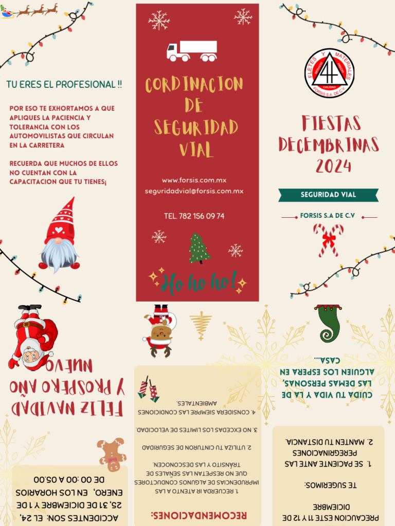 Triptico Diciembre Final | PDF