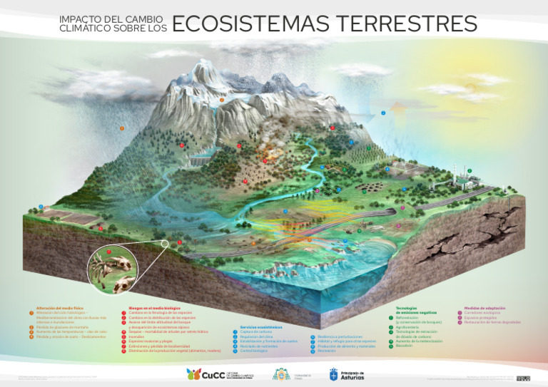 CuCC Lamina A2 Ecosistemas Terrestres | PDF | Los bosques | Ecosistema
