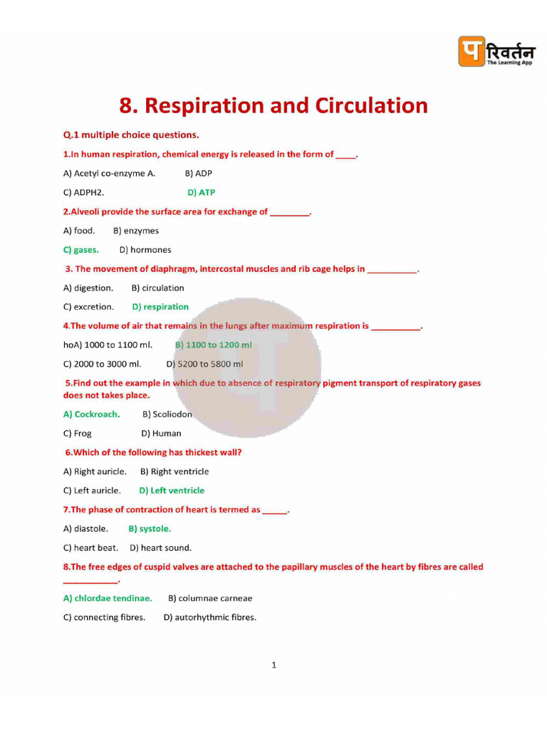 12th bio qb Respiration and Circulation | PDF