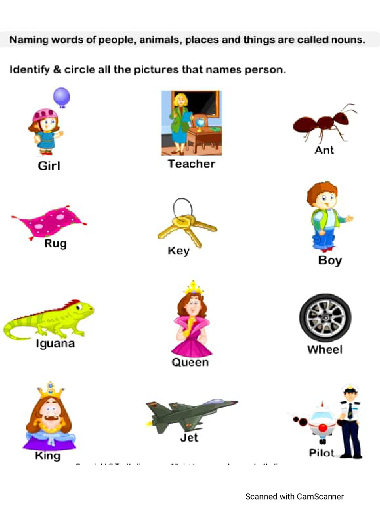 Noun | PDF
