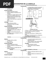 Radioanatomie Cheville-Pied | PDF | Pied | Système squelettique