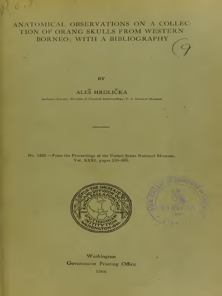 Anatomical Study of Orang Skulls Borneo | PDF | Skull