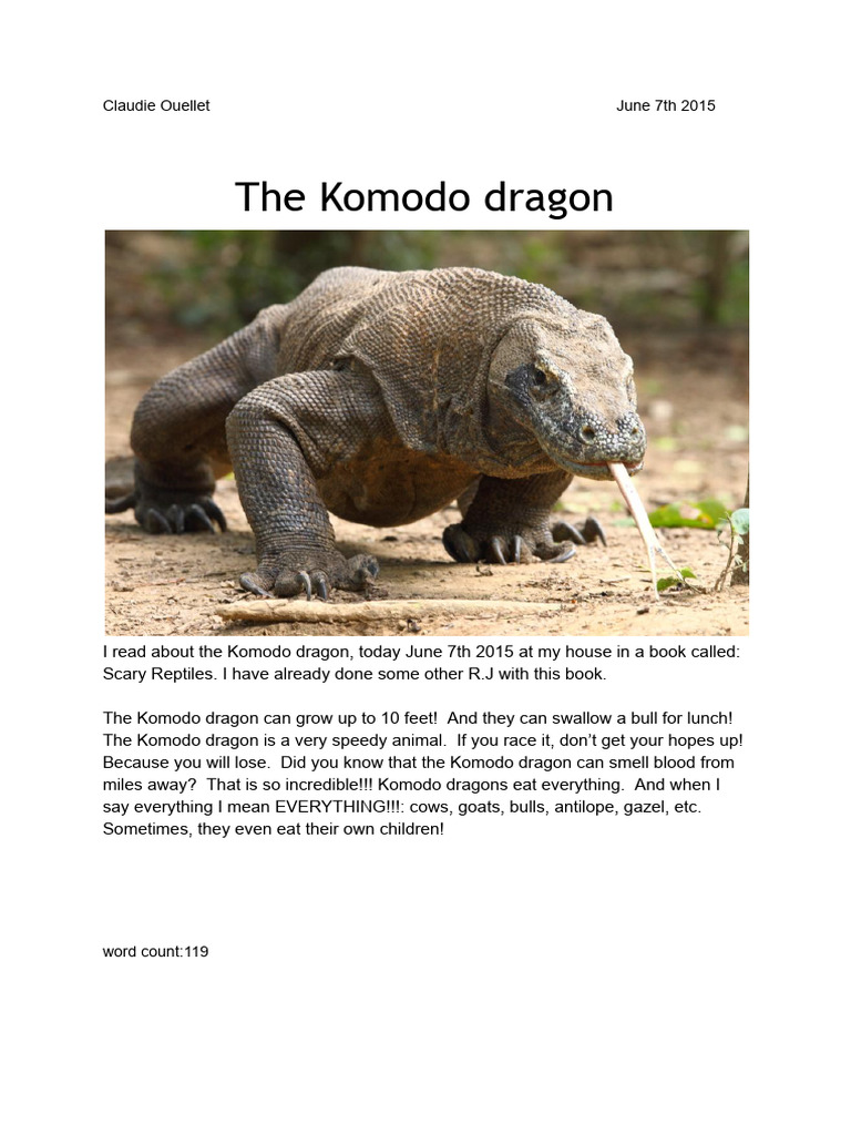 Komodo Dragon | PDF