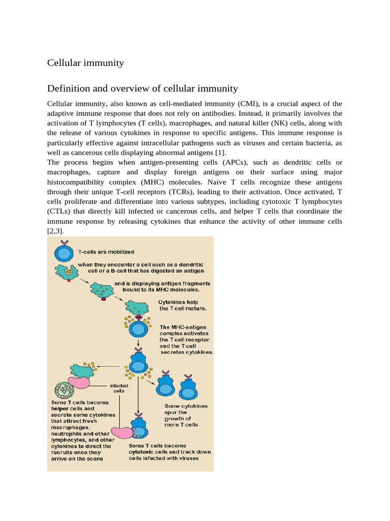 Cellular Immunity Advanced Immunology | PDF | Immune System | T Cell