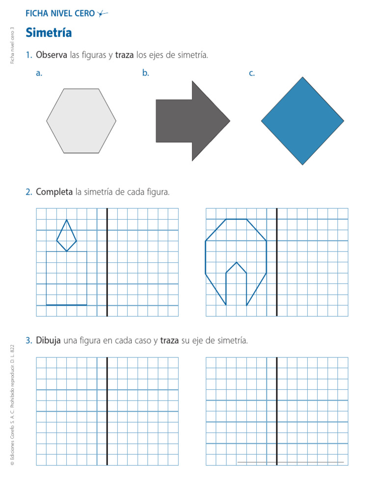 Ejercicios de Simetría Básica | PDF