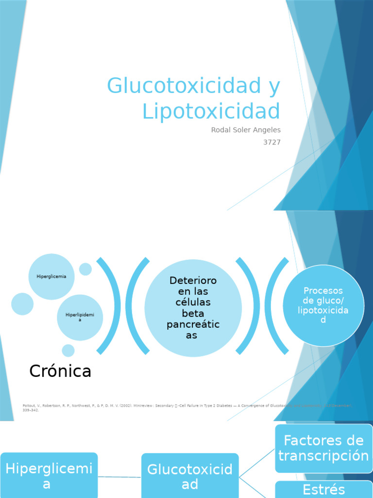 Glucotoxicidad y Lipotoxicidad | PDF | Diabetes | Hiperglucemia