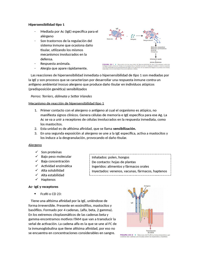 Hipersensibilidad Tipo 1 | PDF | Alergia | Asma