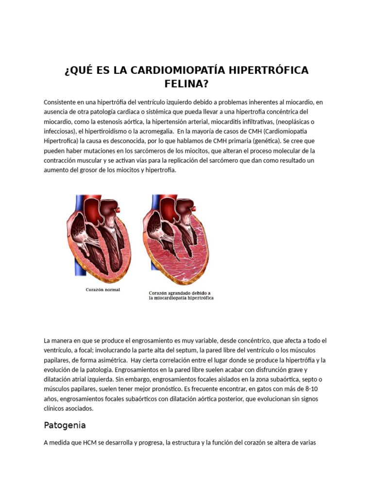 CMH Felino y Canino | PDF | Corazón | Insuficiencia cardíaca