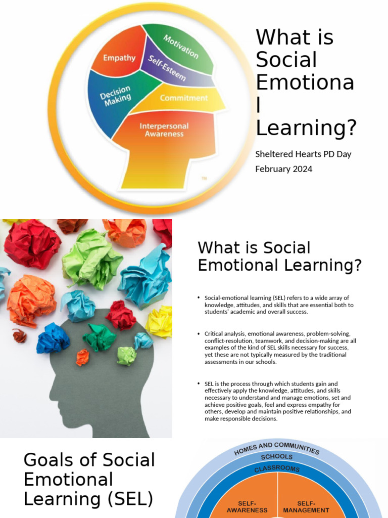 What is Social Emotional Learning | PDF | Self Awareness | Emotions