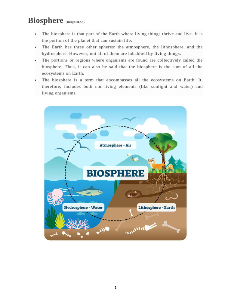 Understanding the Biosphere's Role | PDF | Earth Sciences | Soil