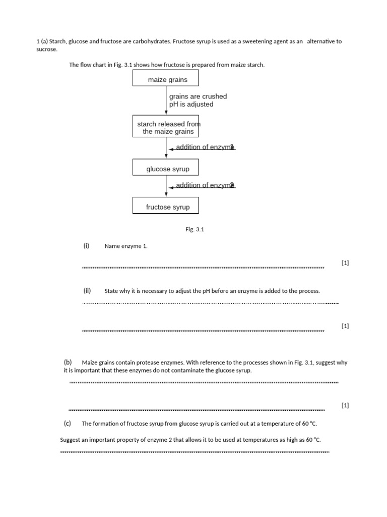 year 10 theory exam | PDF | Fructose | Photosynthesis