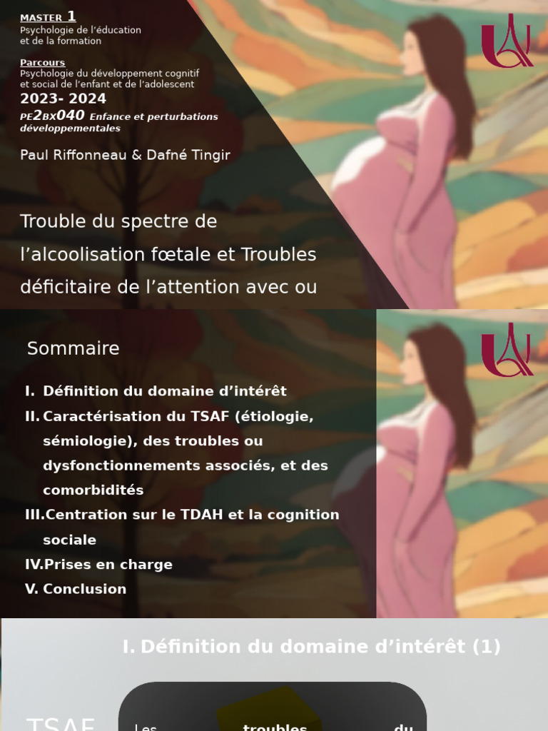 Cc1 Tsaf Tdah - Riffonneau & Tingir | PDF | Trouble du déficit de l ...