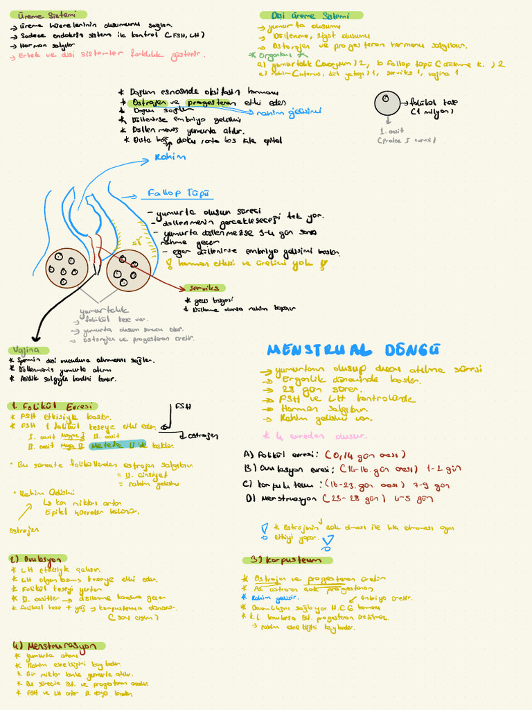 Untitled (Draft) | PDF