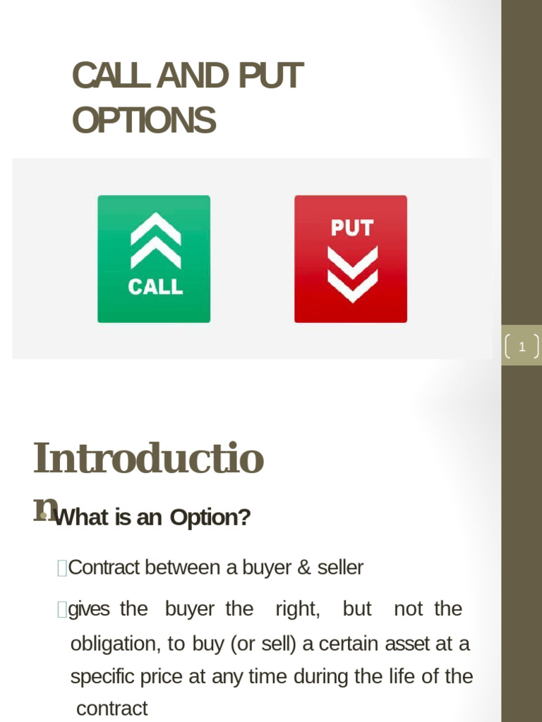 W8L2 Call and Put Options | PDF | Option (Finance) | Put Option