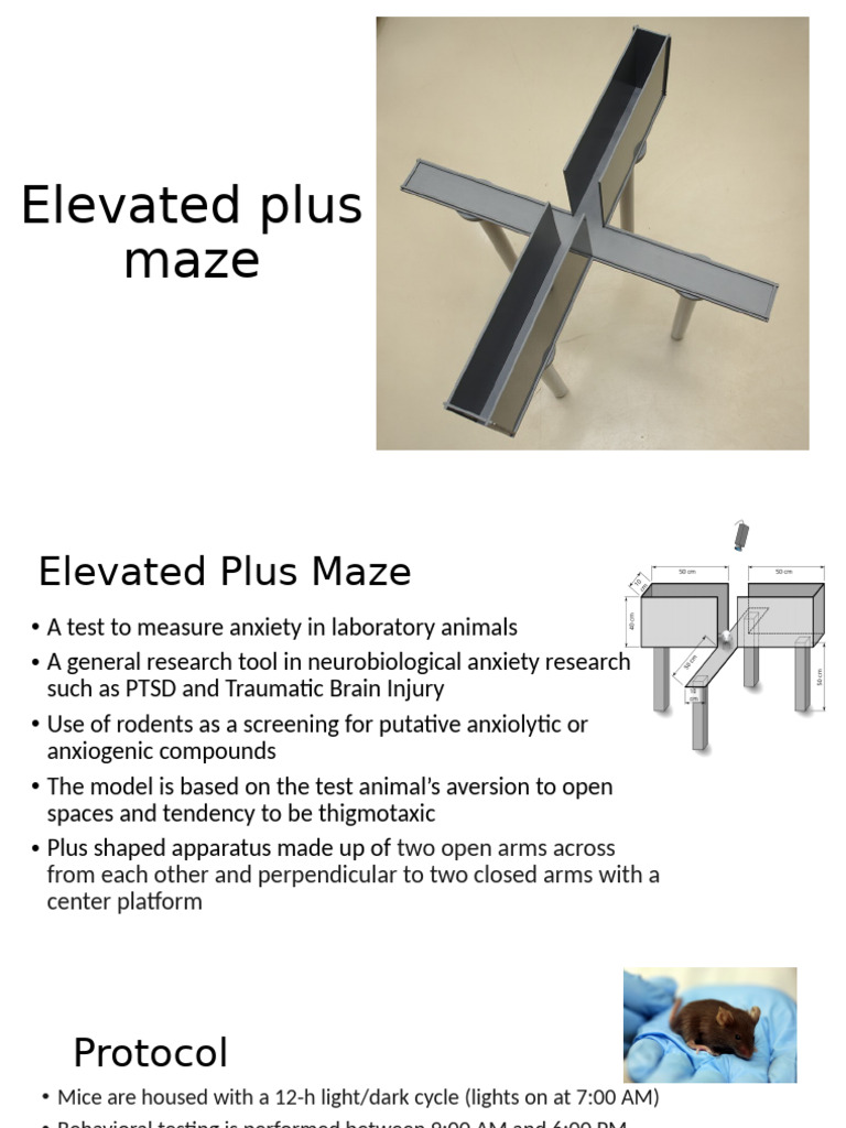 Elevated Plus Maze | PDF