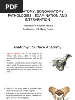 Palpation Techniques for Lower Extremities | PDF | Foot | Knee