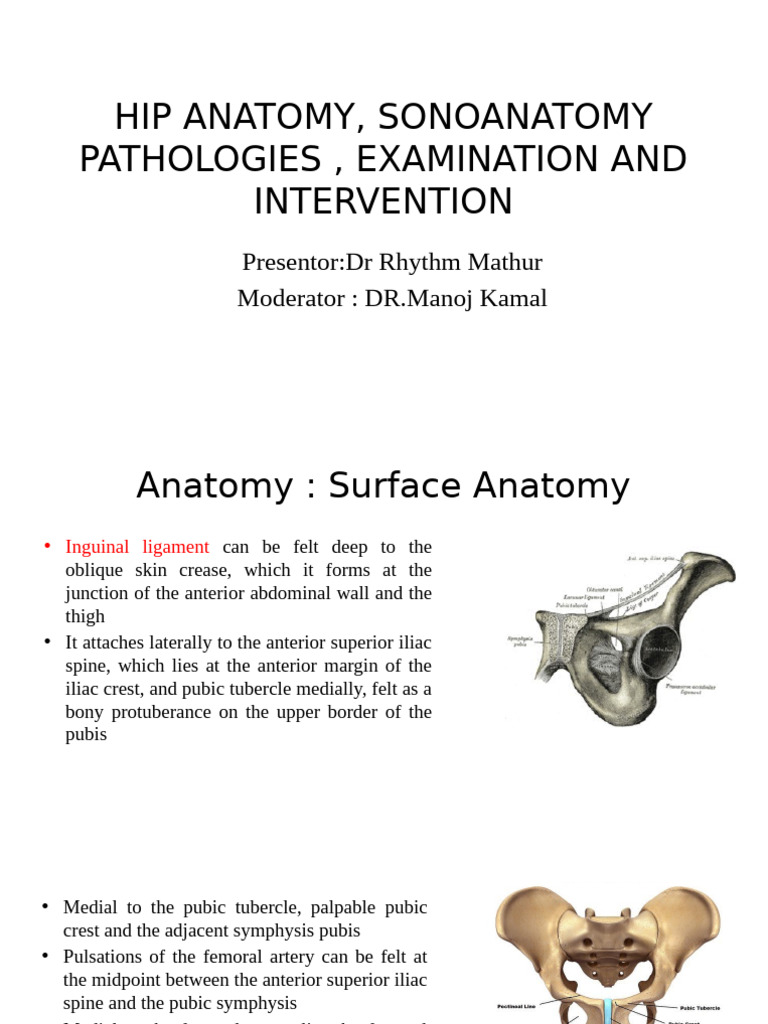 1 Hip Anatomy, Sonoanatomy Pathologies, Examination and 1-1 | PDF | Hip ...