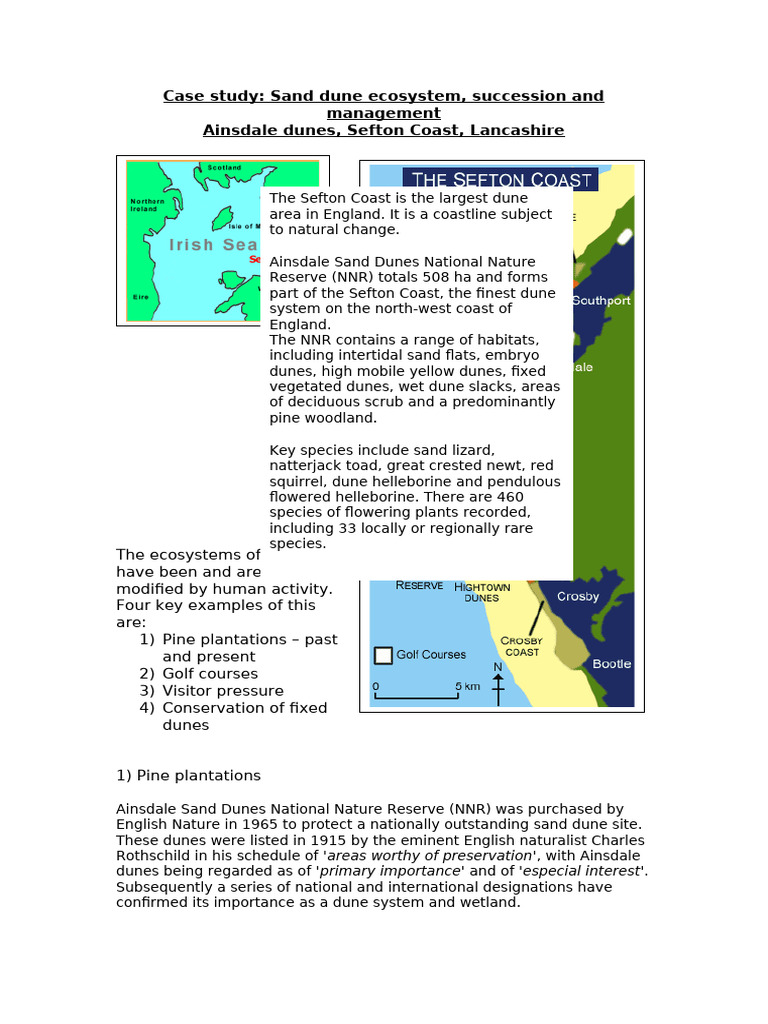 Case Study Sand Dunes 2 | PDF | Dune | Habitat