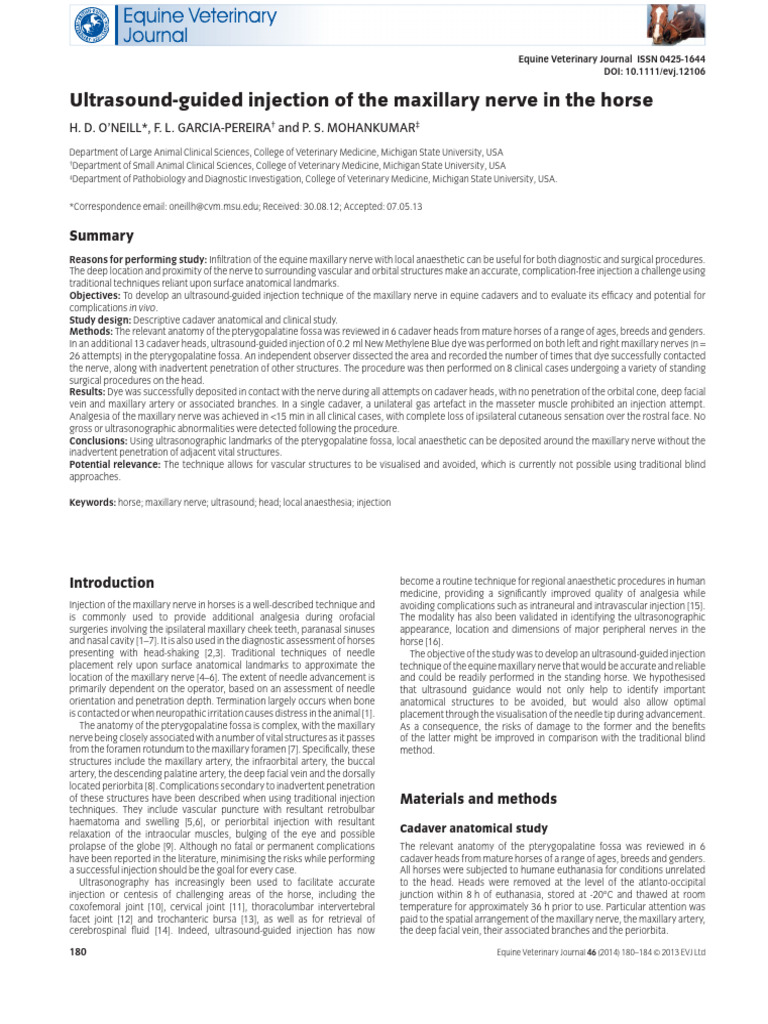 Equine Veterinary Journal - 2013 - O Neill - Ultrasound%E2%80%90guided ...