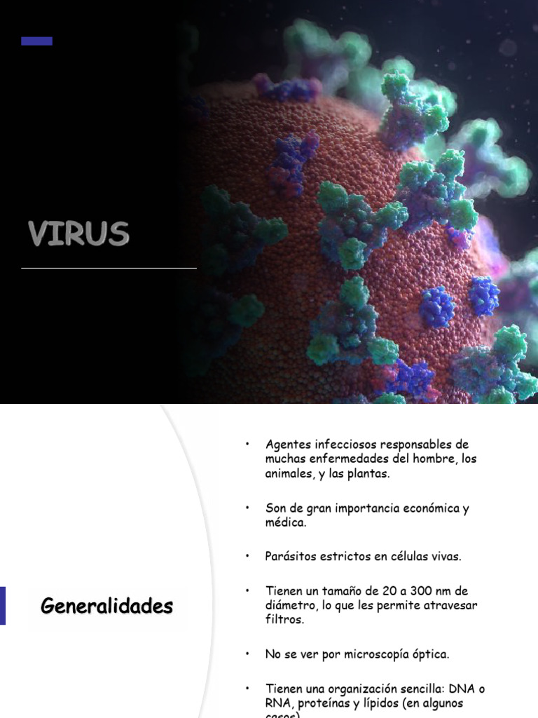 Introducción a los virus y viriones | PDF | Virus | Bioquímica