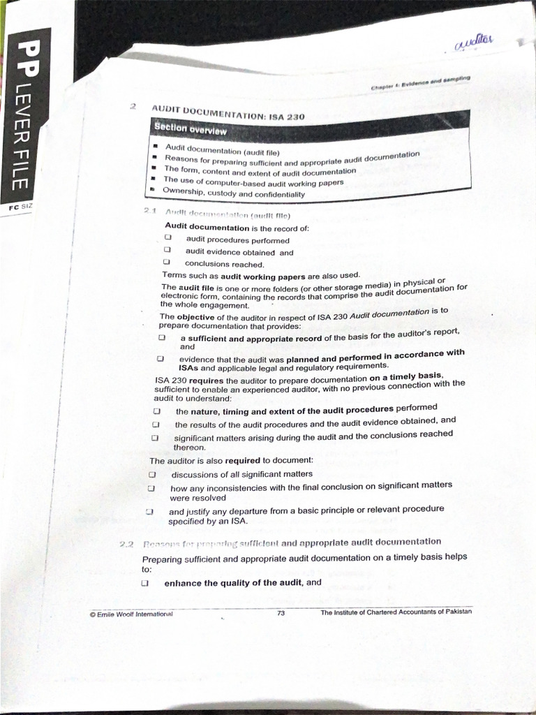 Audit ISA 230 | PDF
