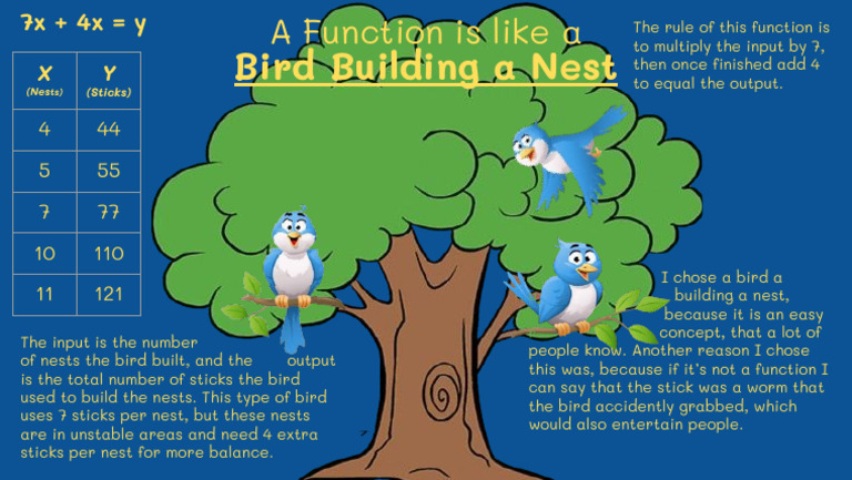 Functions - Birds | PDF