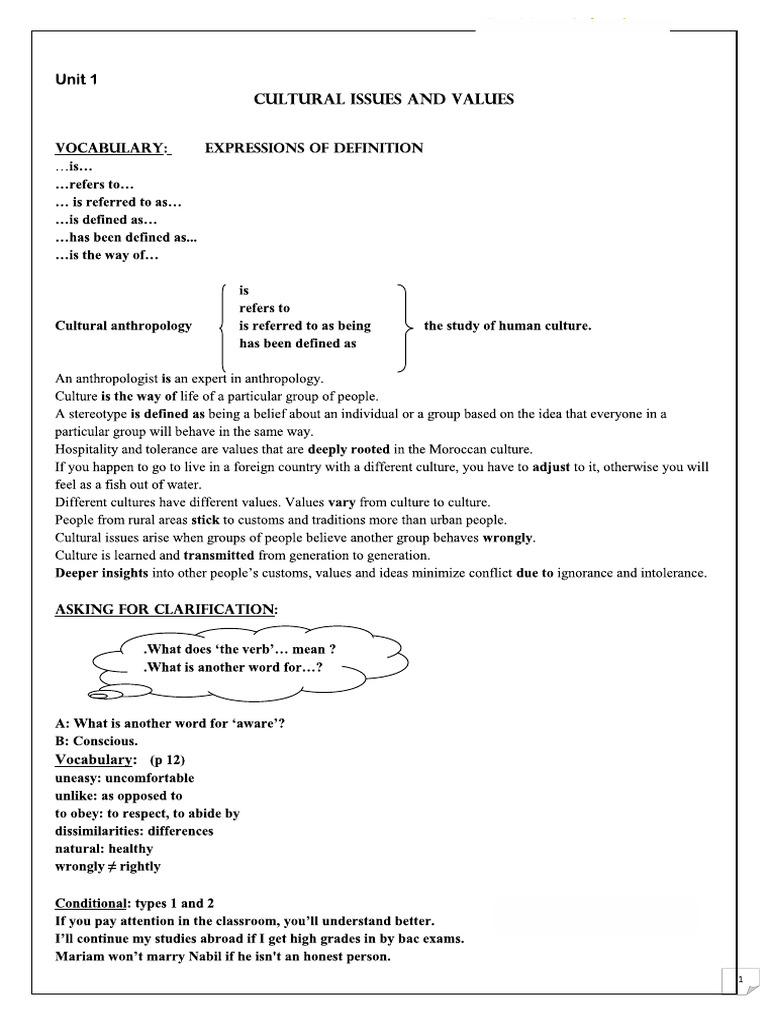 Cultural Issues and Values | PDF
