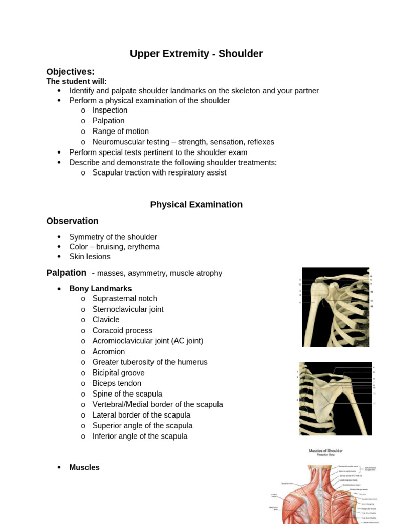 OPP Lab 14 Upper Extremity 1 - Shoulder-2 | PDF | Anatomical Terms Of Motion | Shoulder