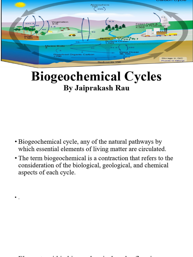 Understanding Biogeochemical Cycles | PDF | Carbon Cycle | Greenhouse Gas