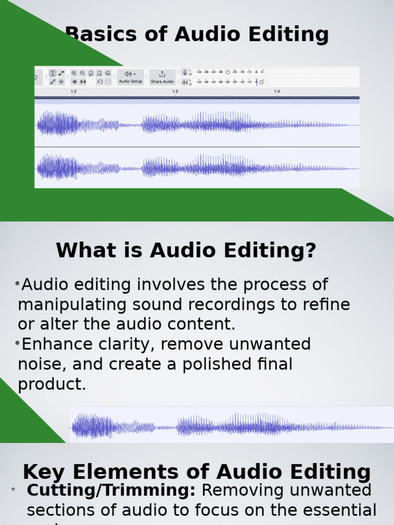 Audio Editing Element 1 | PDF