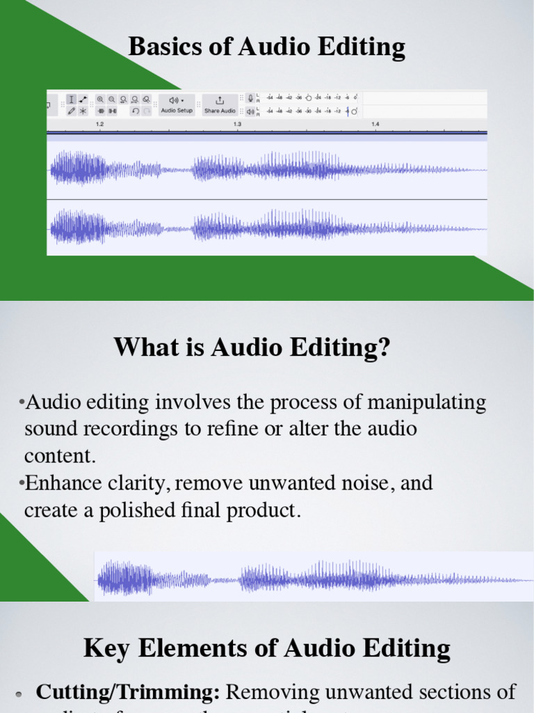 Audio Editing Elements 2 | PDF