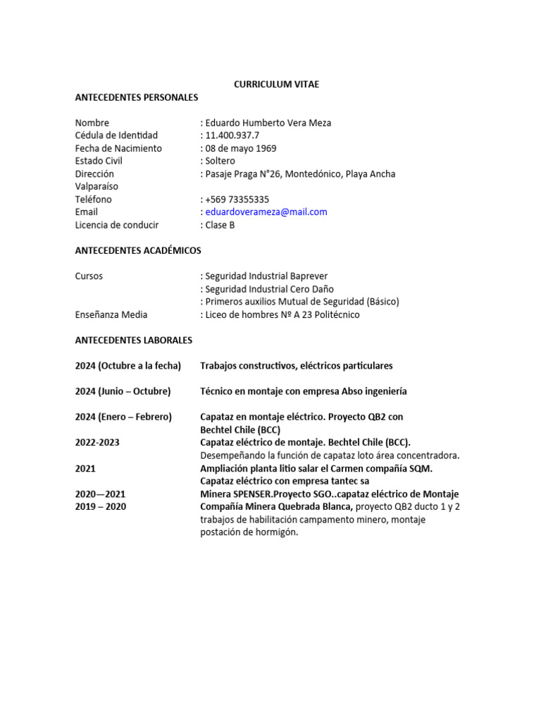 CURRICULUM VITAE eduardo | PDF | Ingeniería