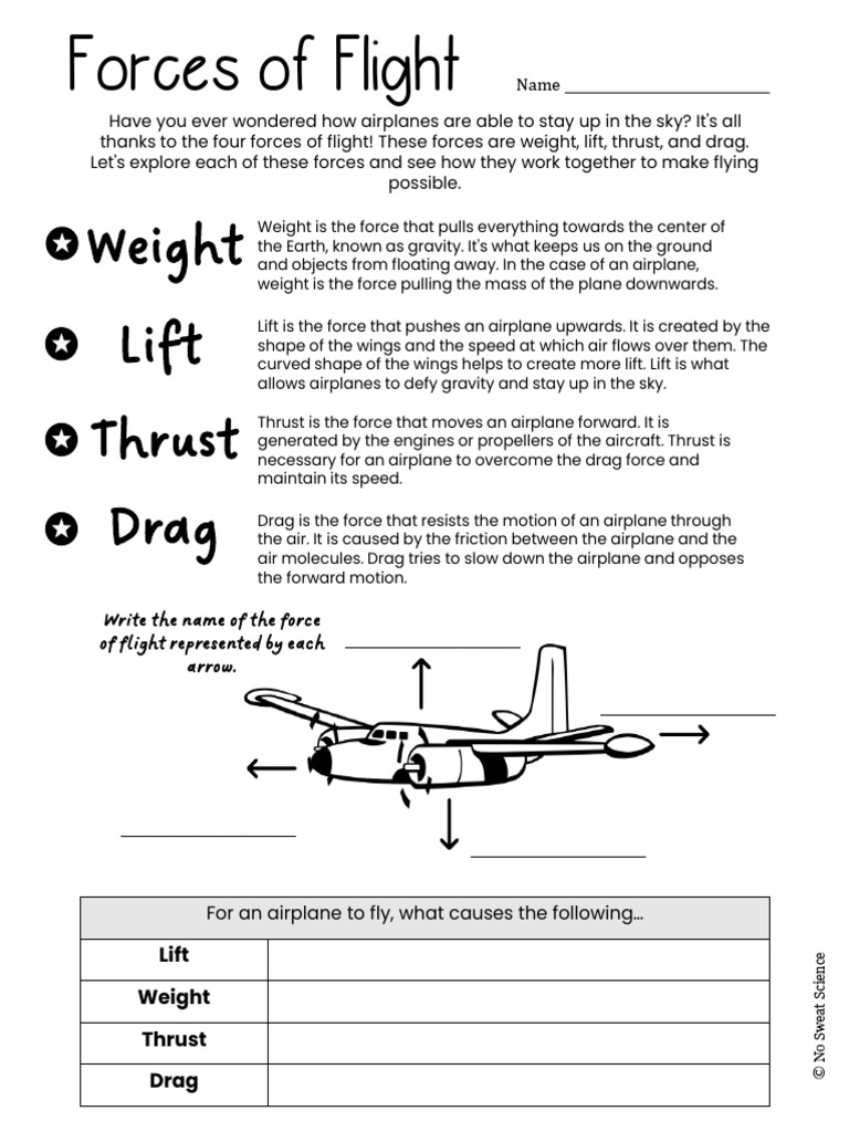 Forces of Flight Explained | PDF | Lift (Force) | Flight
